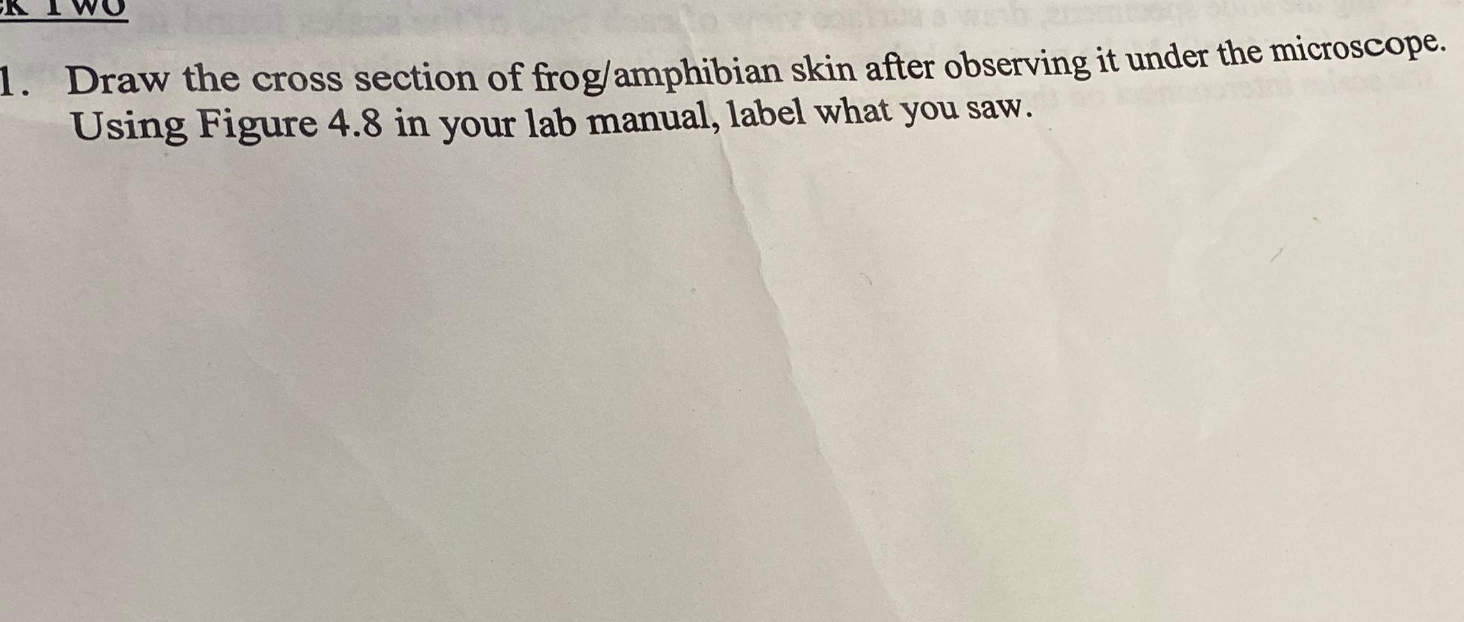 Solved Draw the cross section of frog/amphibian skin after | Chegg.com