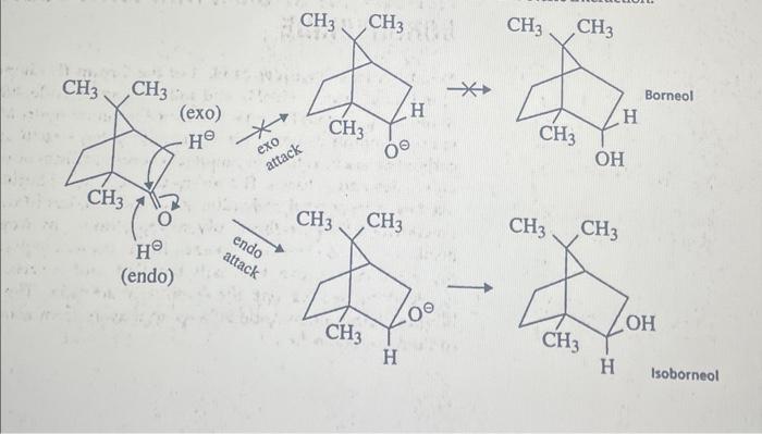 Solved Reductions. The camphor obtained in Part A should not | Chegg.com