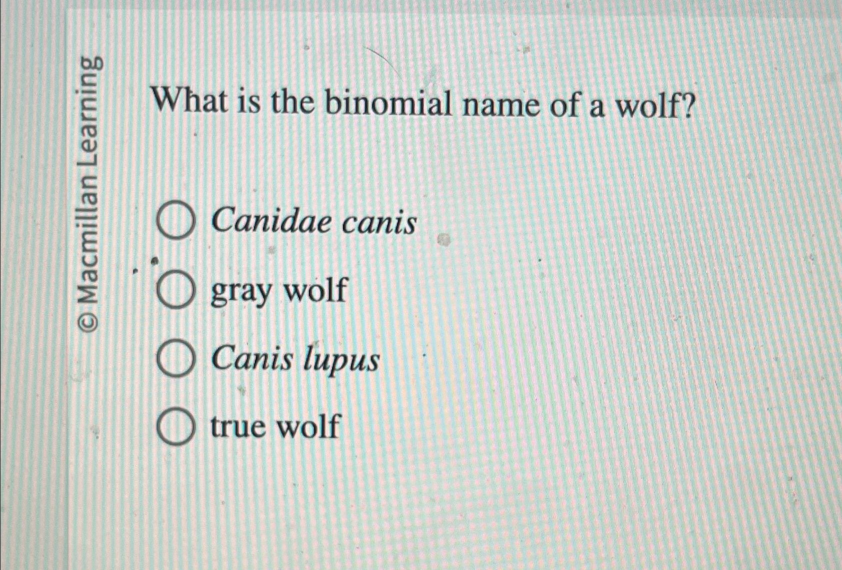 Solved What is the binomial name of a wolf?Canidae canisgray | Chegg.com