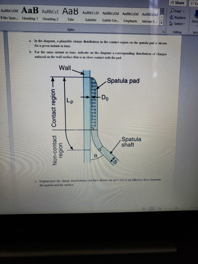 Solved Share AaBbccdd AaB AaBbccc AaB AaBbCcD ABbccdd | Chegg.com