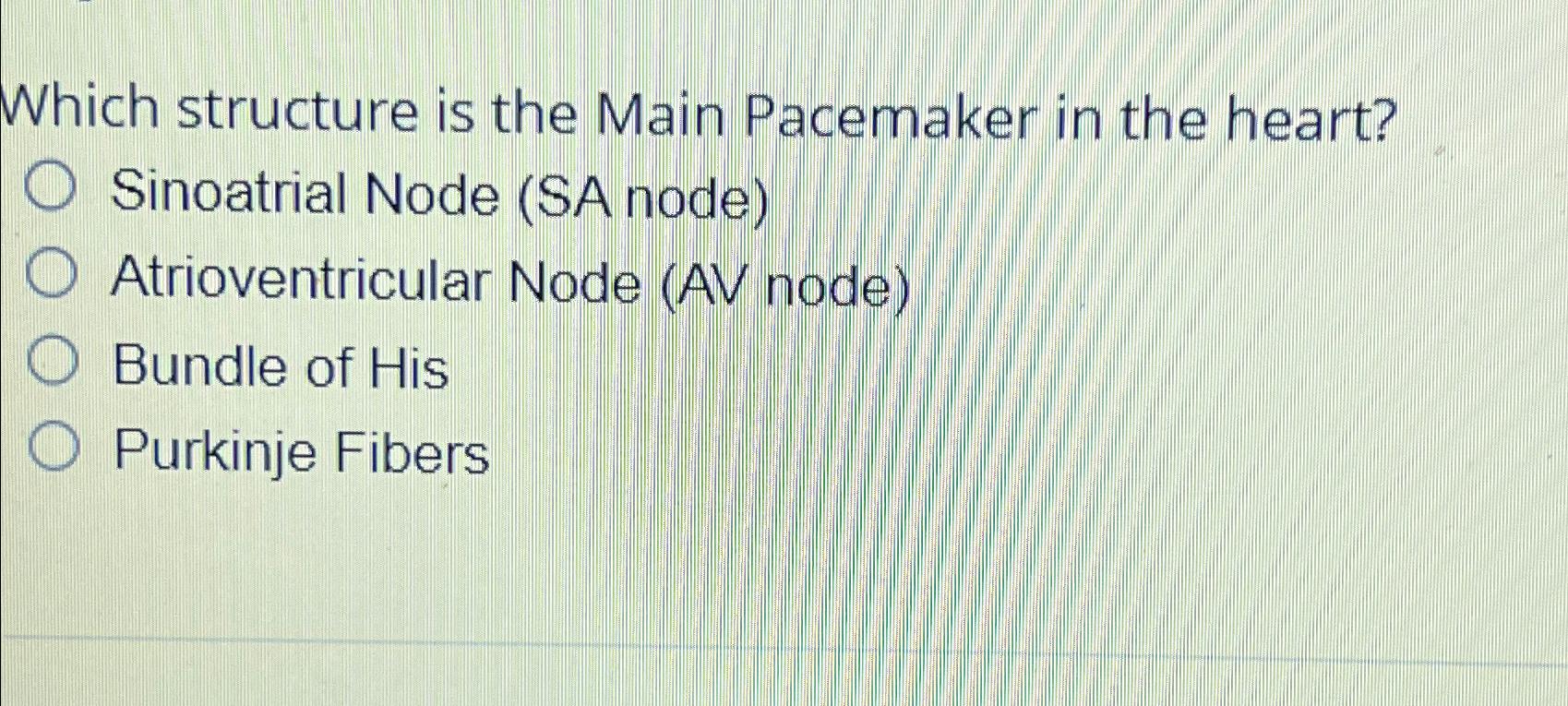 Solved Which structure is the Main Pacemaker in the | Chegg.com