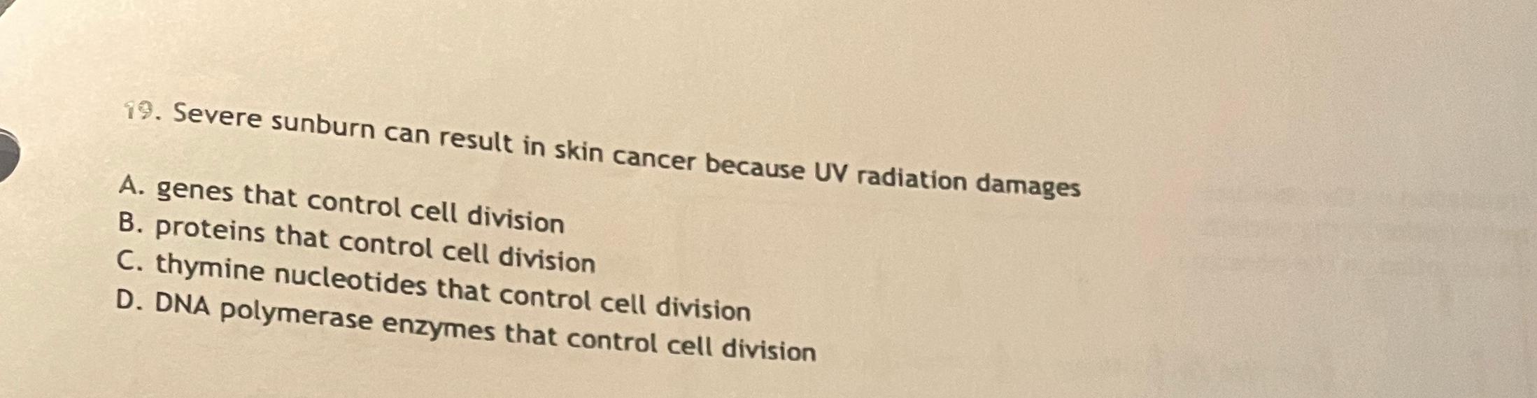 Solved Severe sunburn can result in skin cancer because UV | Chegg.com