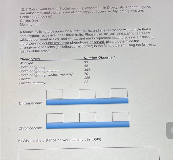 Solved 12. (12pts) I want to do a 3 point mapping experiment | Chegg.com
