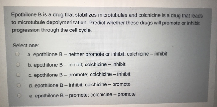 Solved Epothilone B is a drug that stabilizes microtubules | Chegg.com