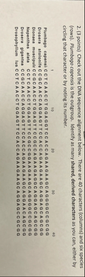 Solved (3 ﻿points) ﻿Check out the DNA sequence alignment | Chegg.com