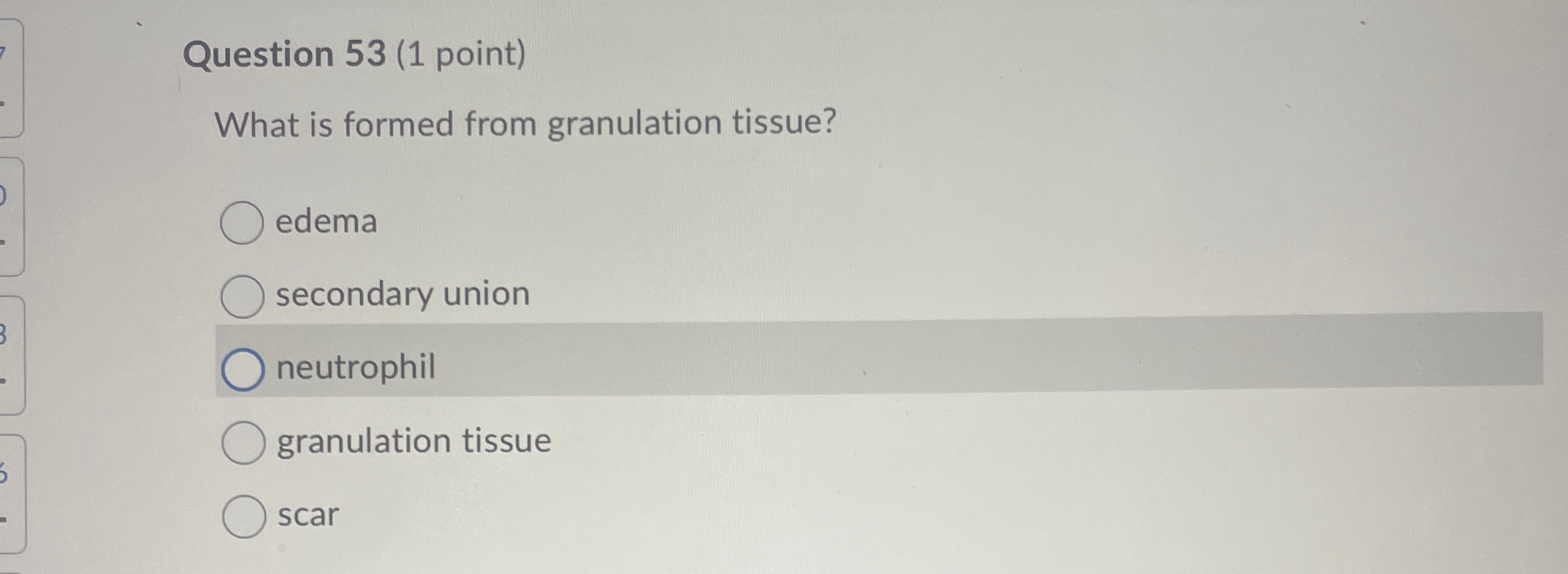 Solved Question 53 (1 point)What is formed from granulation | Chegg.com Solved Question 53 (1 point)What is formed from granulation | Chegg.com