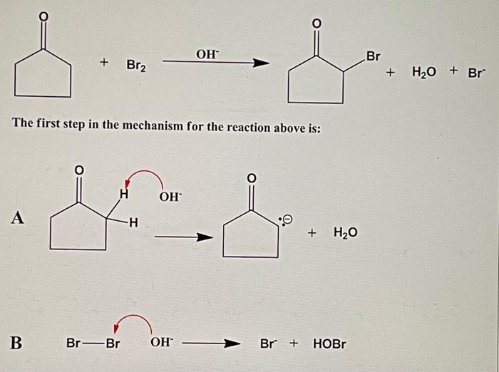 Solved о ОН + Br2 Br + H2O + Br: The first step in the | Chegg.com