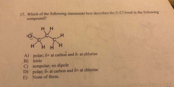 Solved 17. Which of the following statements best describes | Chegg.com