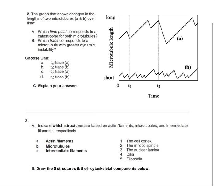 Solved 2. The graph that shows changes in the lengths of two | Chegg.com