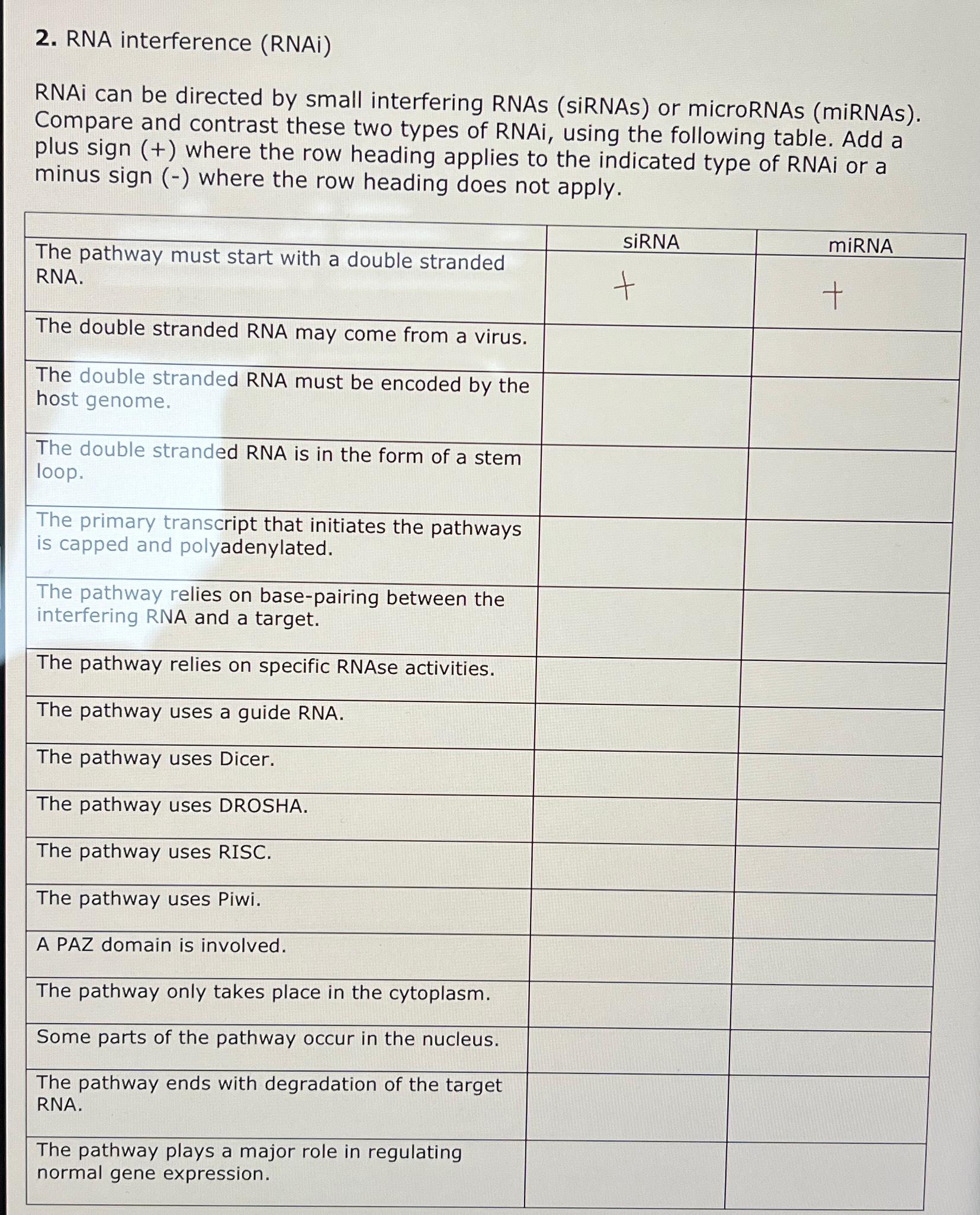 Solved RNA interference (RNAi)RNAi can be directed by small | Chegg.com