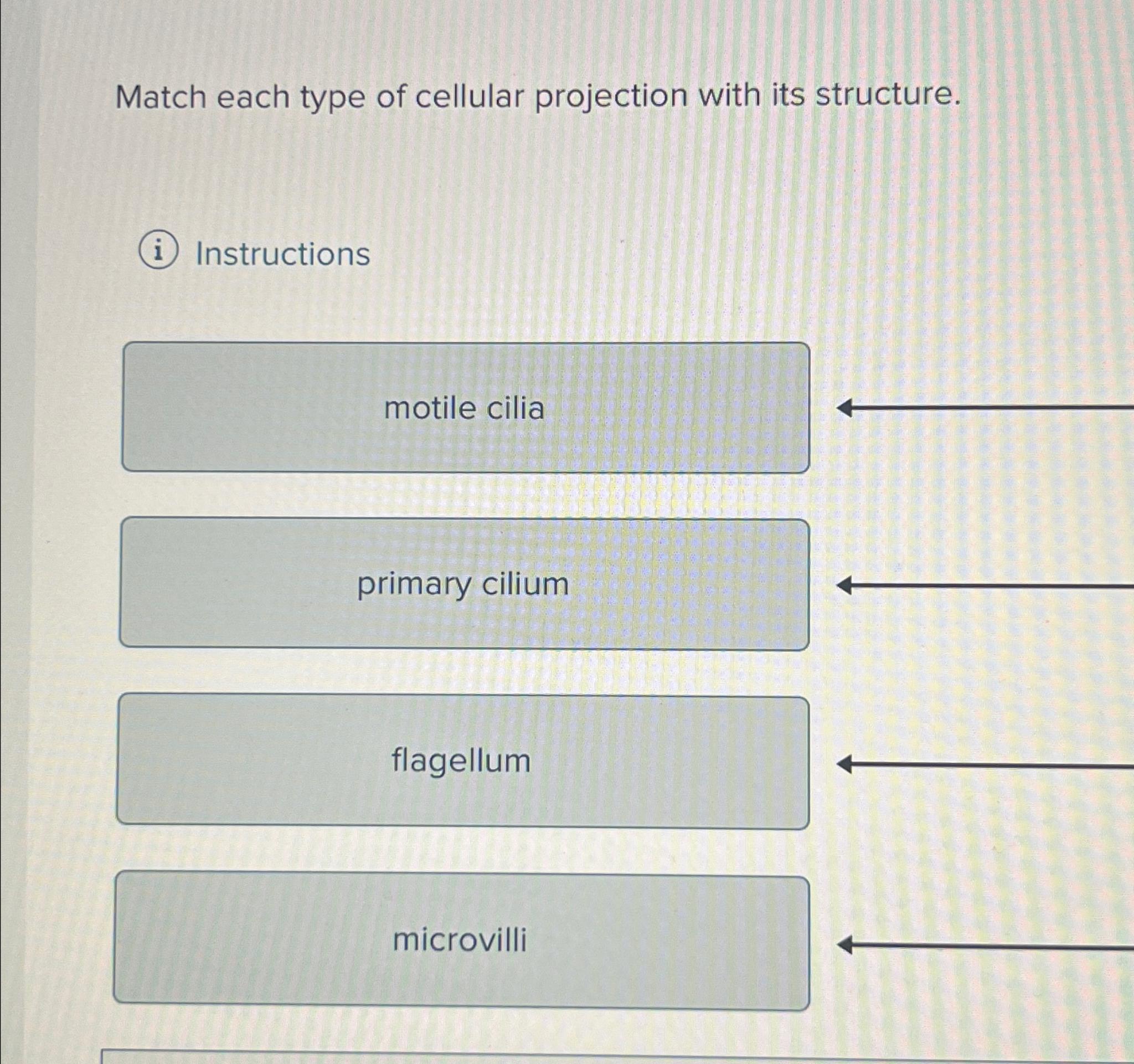 Solved Match each type of cellular projection with its | Chegg.com