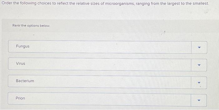 Solved Order the following choices to reflect the relative | Chegg.com