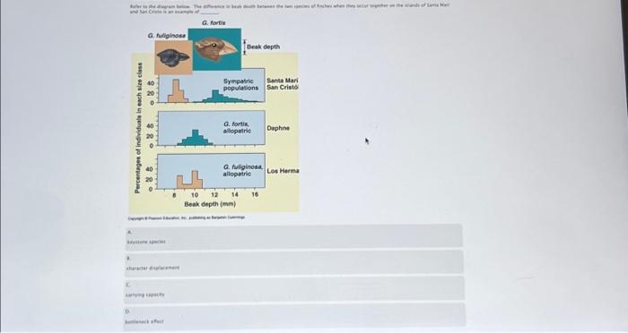 Solved Refer to the diagram below. The difference in beak | Chegg.com
