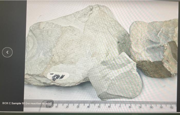 Solved from sample 7 to 10 what is the name of sedimentary | Chegg.com