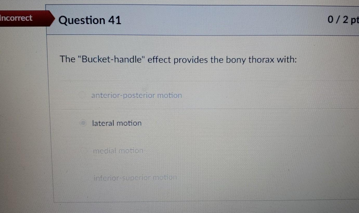 Solved Incorrect Question 41 0/2 pt The "Bucket-handle" | Chegg.com
