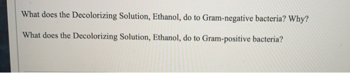 Solved What does the Decolorizing Solution, Ethanol, do to | Chegg.com