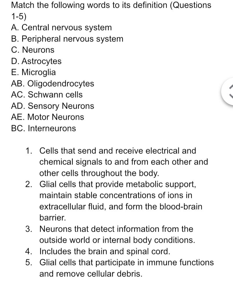 Solved Match the following words to its definition | Chegg.com