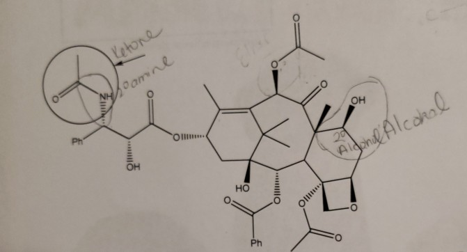 Solved 3. Taxol is a chemotherapy drug. Circle and label 6 | Chegg.com