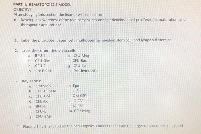 Solved PART II: HEMATOPOIESIS MODEL OBJECTIVE After studying | Chegg.com