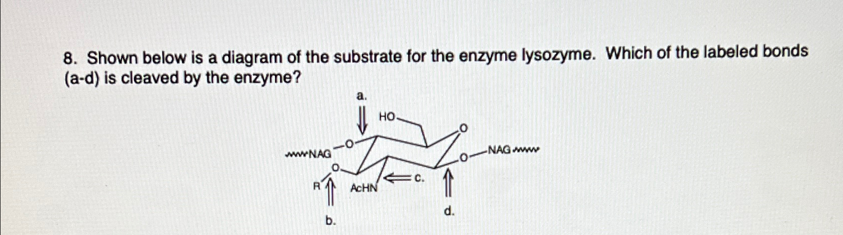 Solved Shown below is a diagram of the substrate for the | Chegg.com