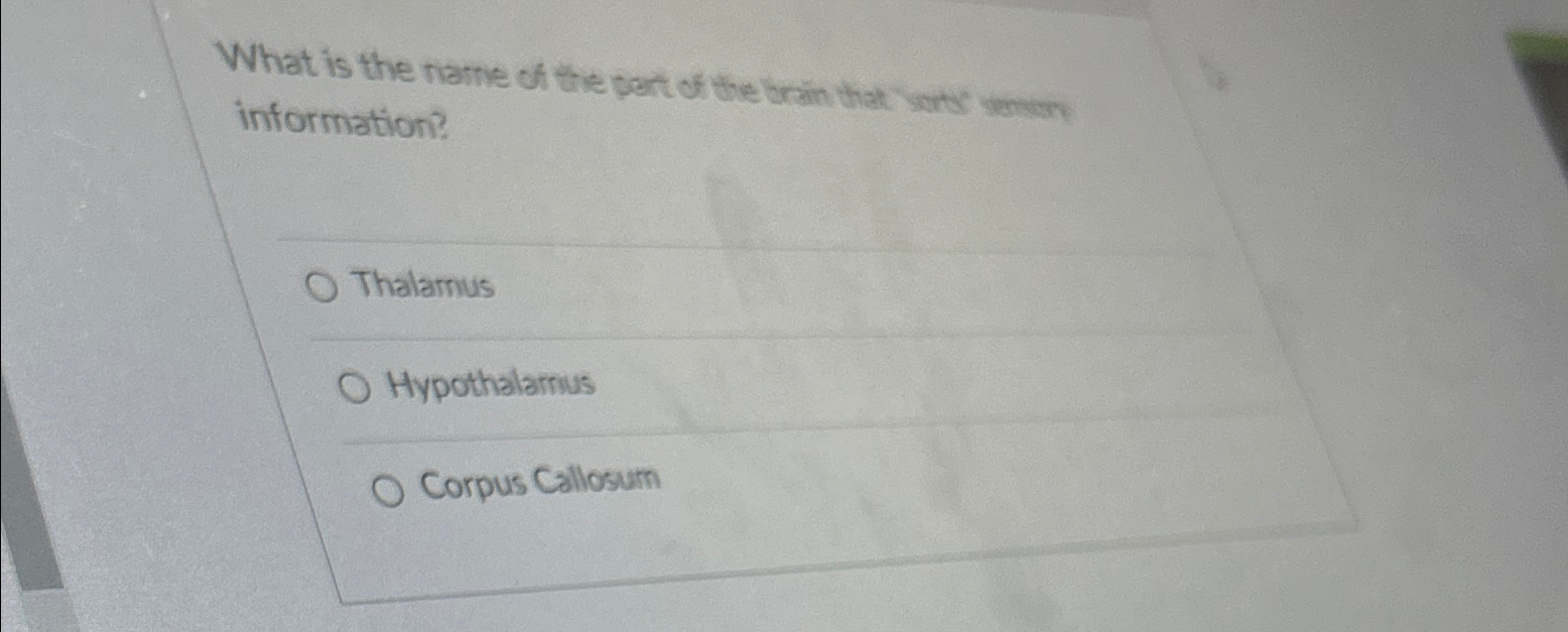 Solved What is the name of the part of the brain that 'sot's | Chegg.com