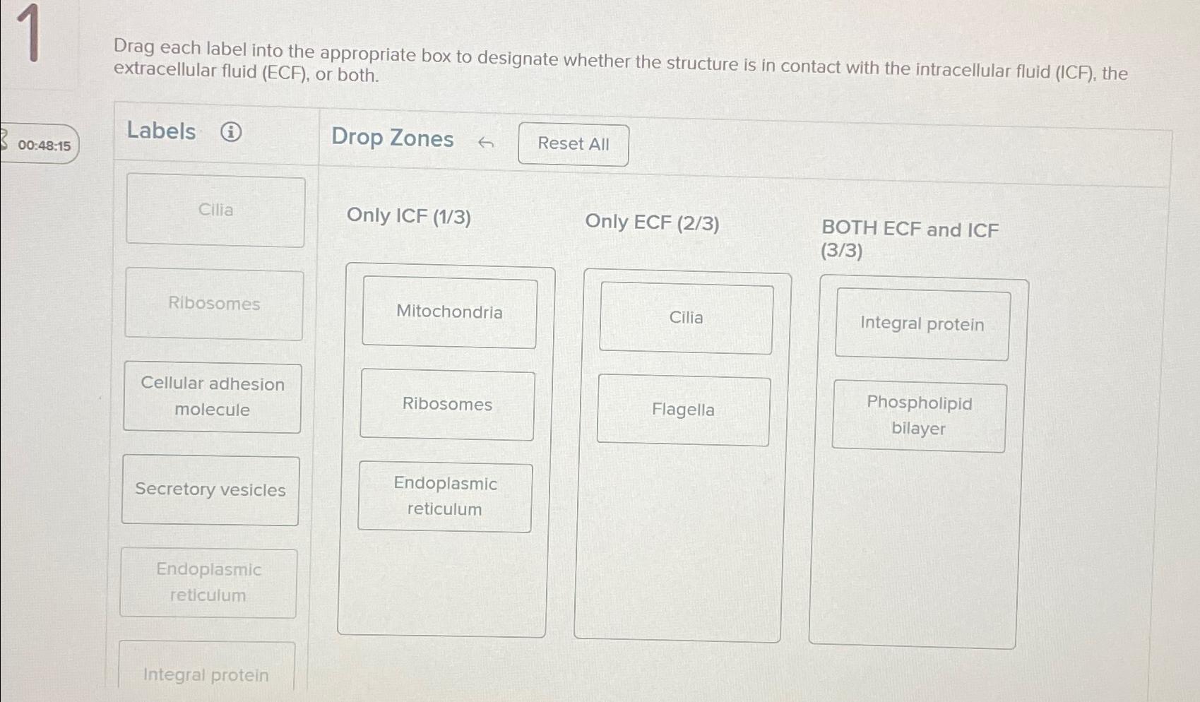 Solved 1Drag each label into the appropriate box to | Chegg.com