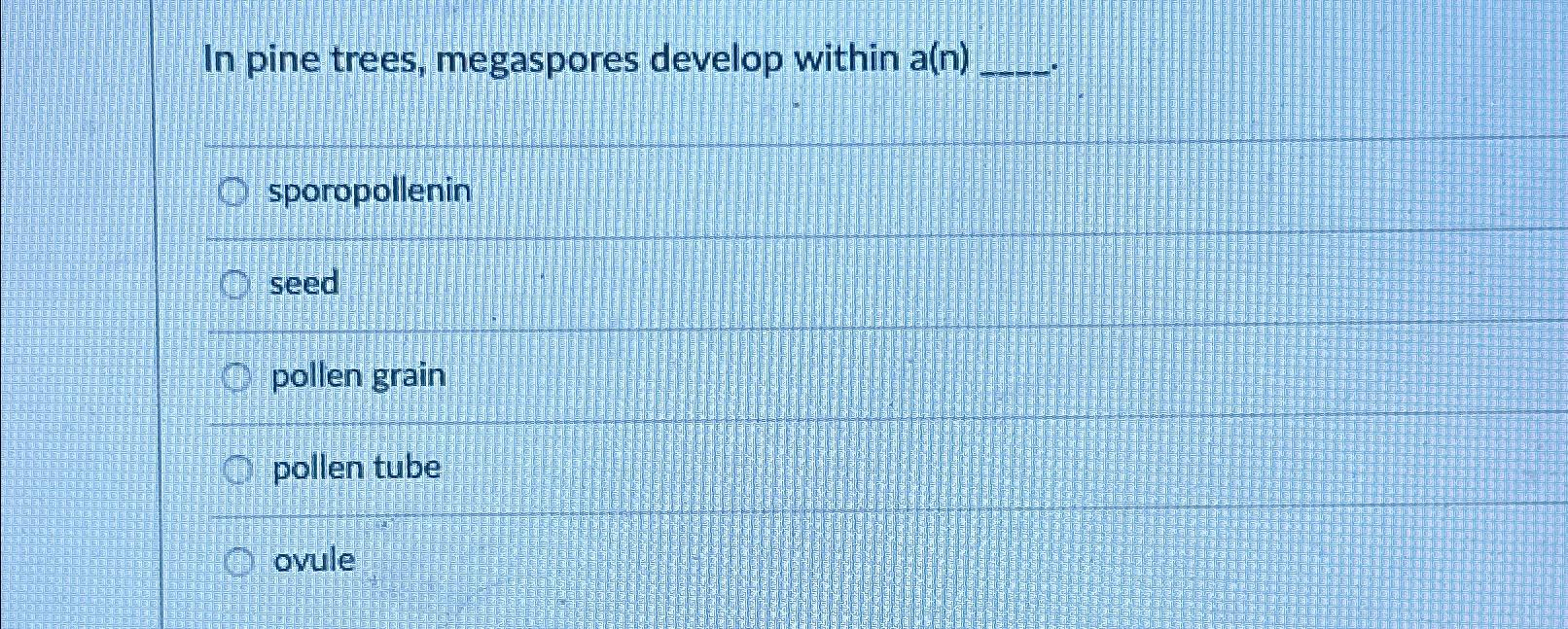 Solved In pine trees, megaspores develop within | Chegg.com