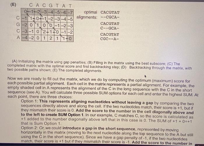 Solved 7. Generate a MATRIX based on the Needleman-Wunsch | Chegg.com