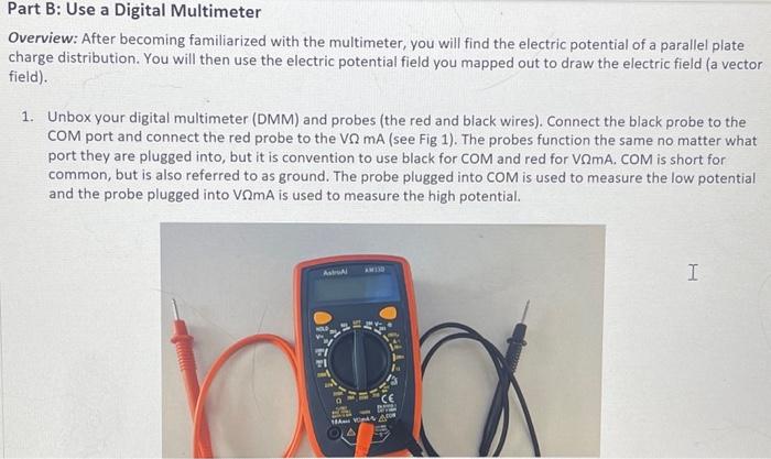 Solved Overview: After becoming familiarized with the | Chegg.com