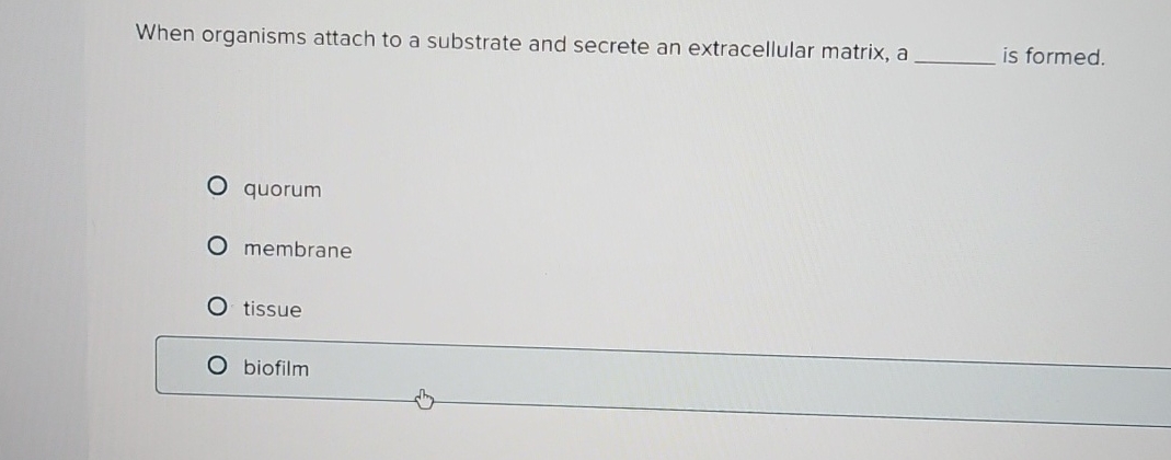 Solved When organisms attach to a substrate and secrete an | Chegg.com