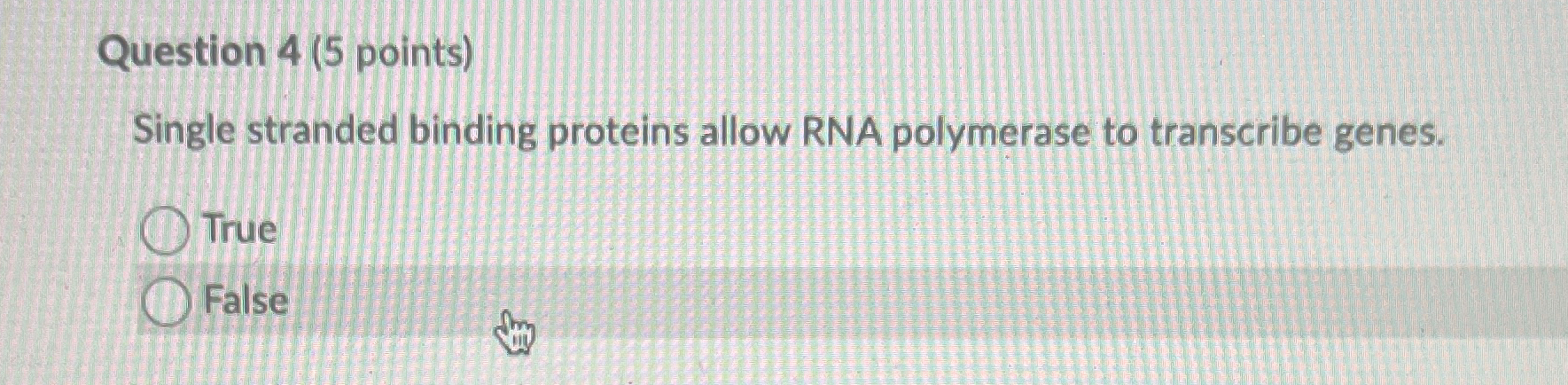 Solved Question 4 (5 ﻿points)Single stranded binding | Chegg.com