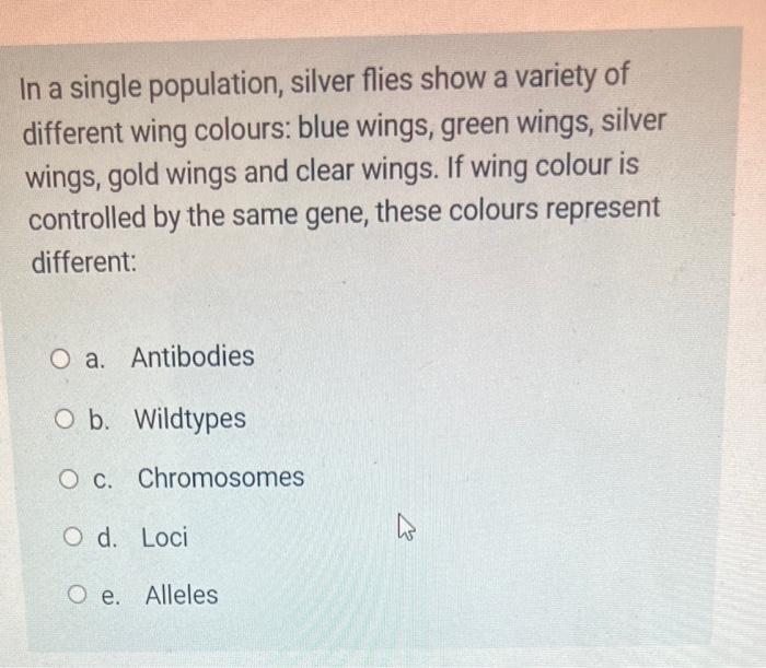 Solved In a single population, silver flies show a variety | Chegg.com
