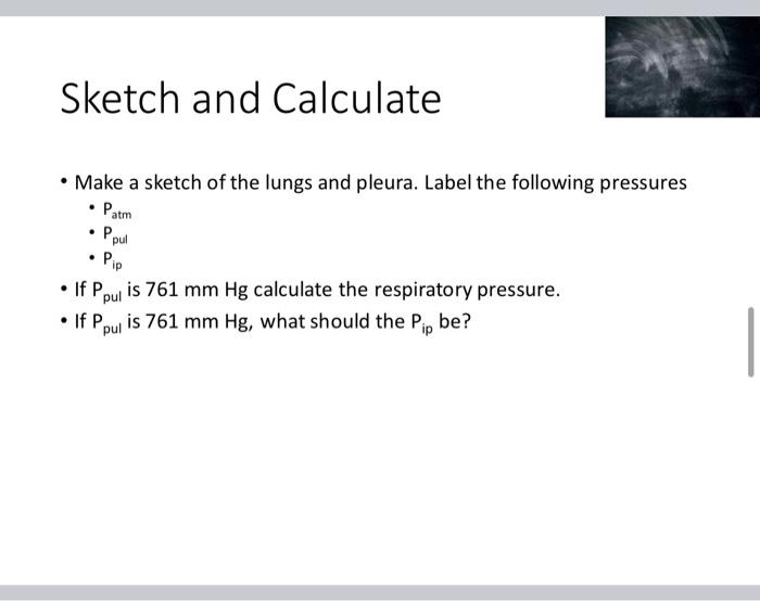 Solved Sketch and Calculate - Make a sketch of the lungs and | Chegg.com