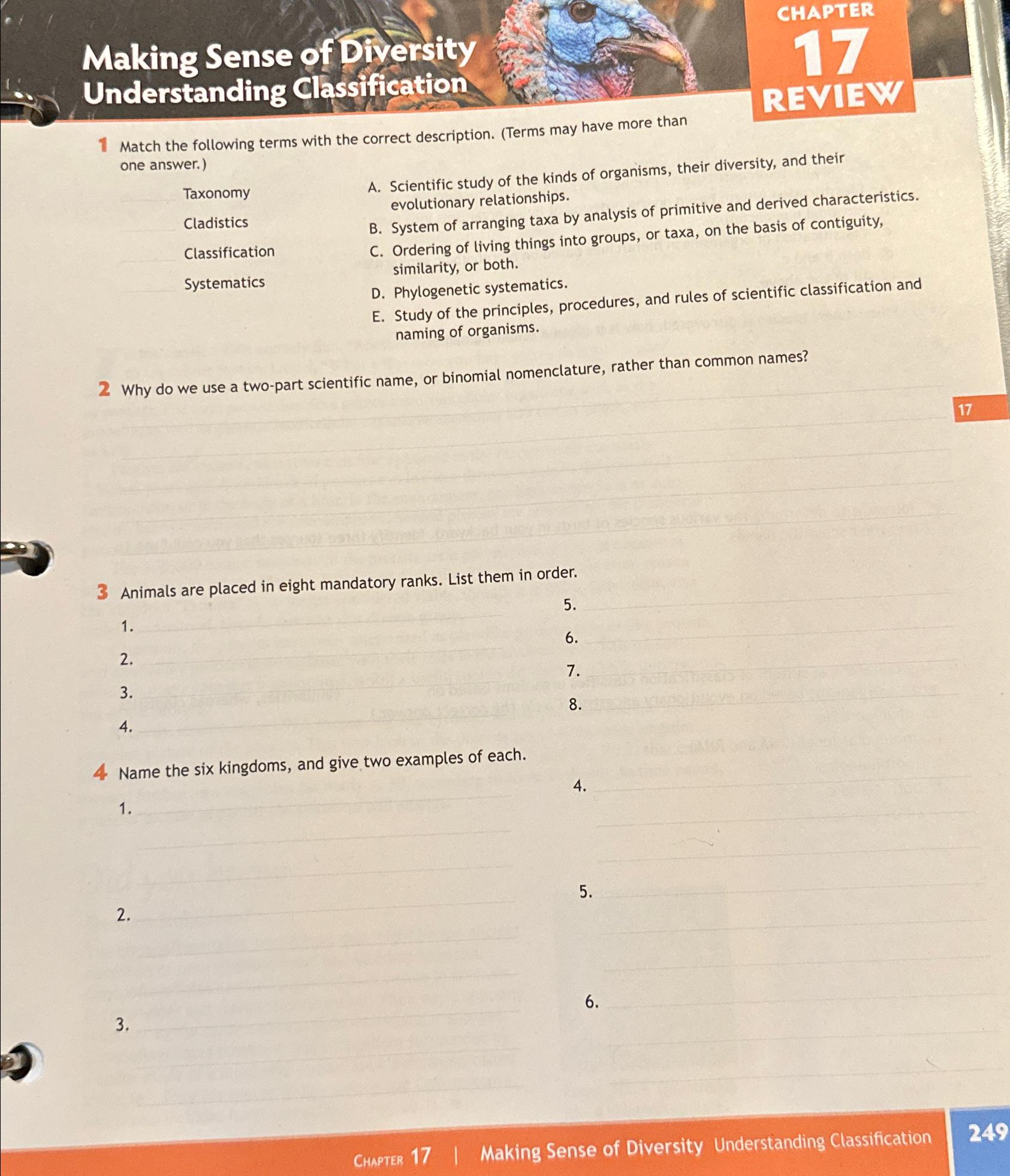 Solved Making Sense of DiversityCHAPTERUnderstanding | Chegg.com