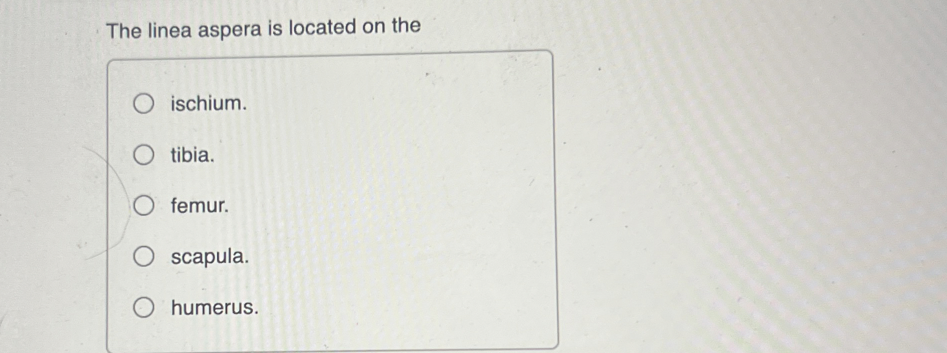 Solved The linea aspera is located on | Chegg.com