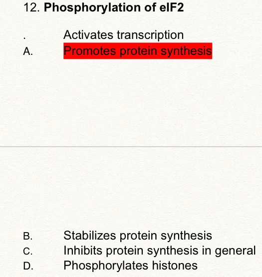 Solved 12. Phosphorylation of elF2 Activates transcription | Chegg.com
