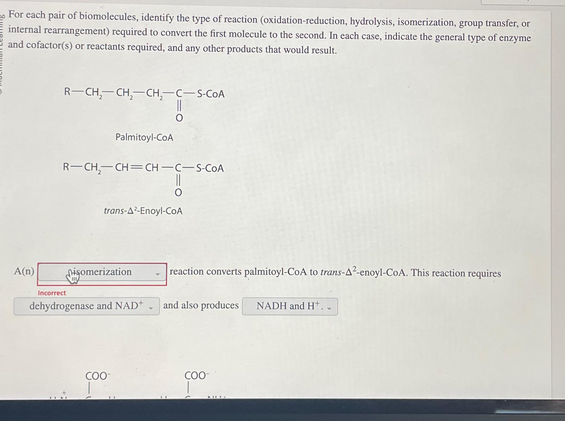 Solved For each pair of biomolecules, identify the type of | Chegg.com