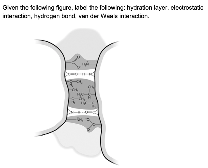Solved Given the following figure, label the following: | Chegg.com