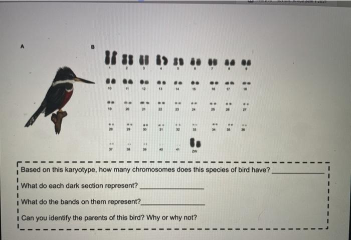 Solved 00 2 > R :: . :: 16 . . HR 5 41 B 21 1 1 Based on | Chegg.com