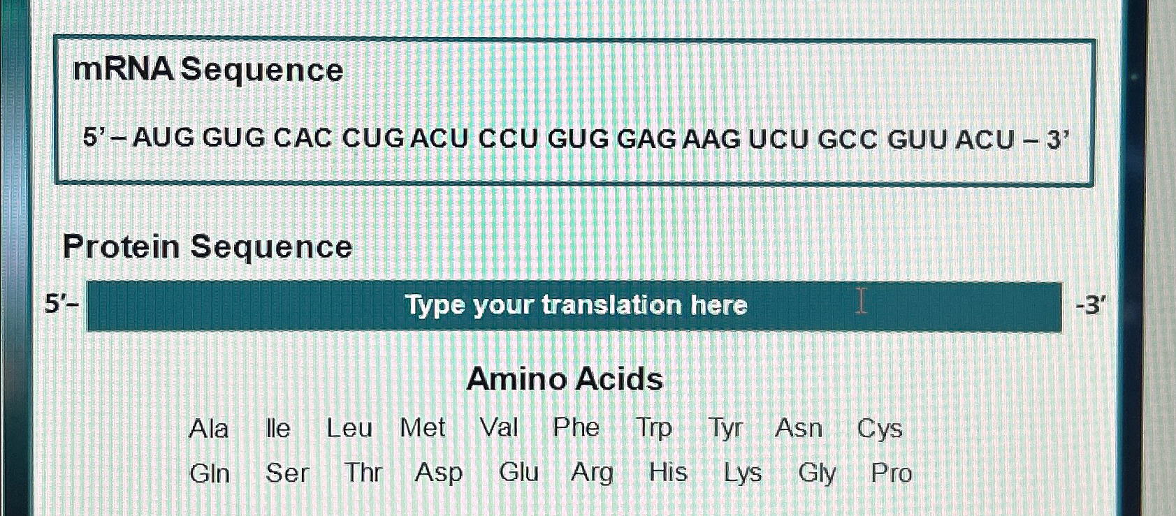 Solved mRNA Sequence5'- ﻿AUG GUG CAC CUG ACU CCU GUG GAG AAG | Chegg.com
