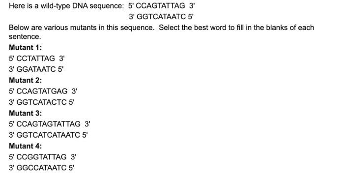 Solved Here is a wild-type DNA sequence: 5'CCAGTATTAG 3' 3' | Chegg.com