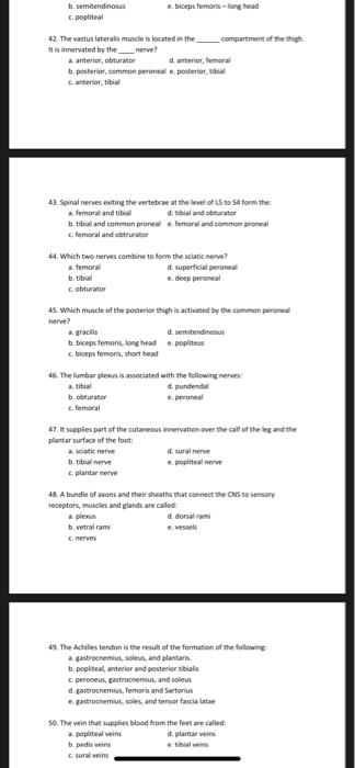Solved Х HUMAN ANATOMY - Low... 1. MULTIPLE CHOICE. PLEASE | Chegg.com