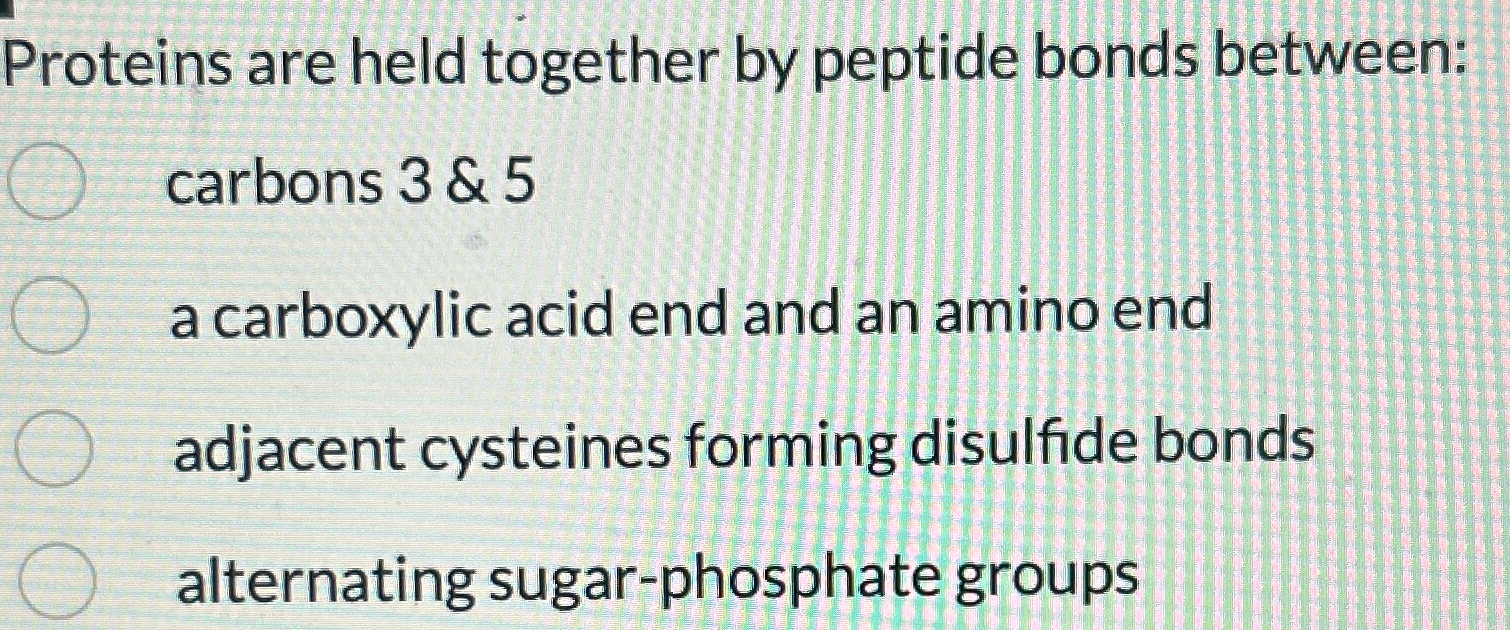 Solved Proteins are held together by peptide bonds | Chegg.com