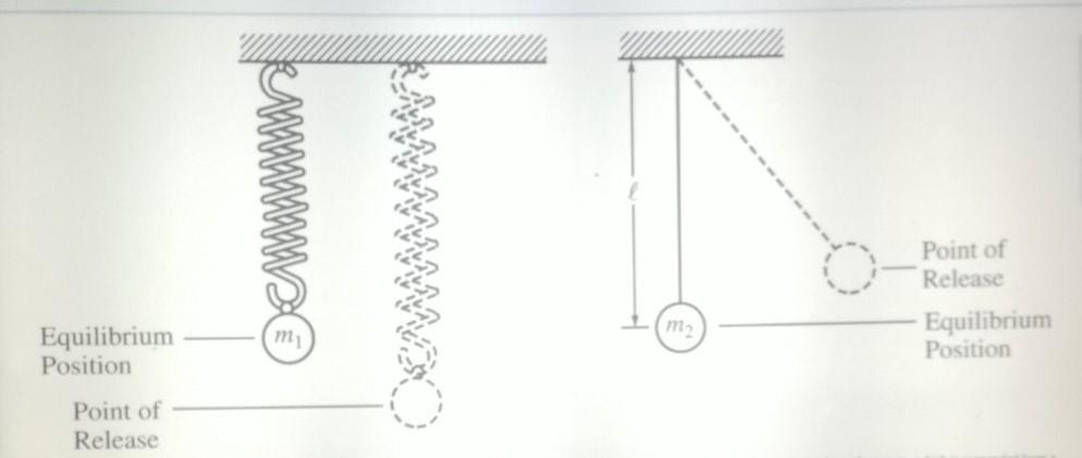 Solved A sphere of mass m, which is attached to a spring, is | Chegg.com