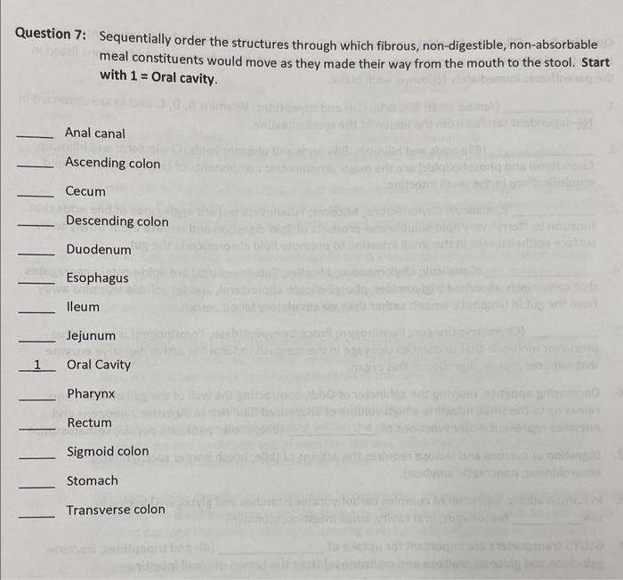 Solved Question 7: Sequentially order the structures through | Chegg.com