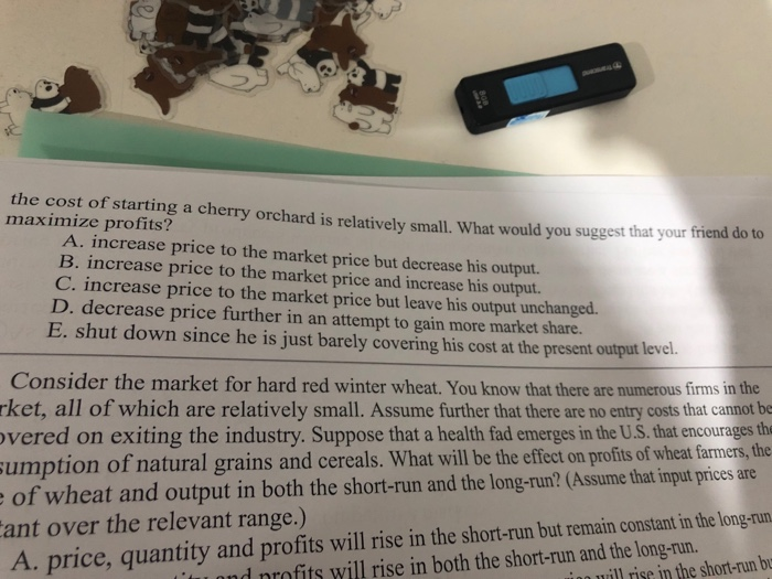 Solved 2 ULSIC. U llence decreasing returns to scale at low | Chegg.com