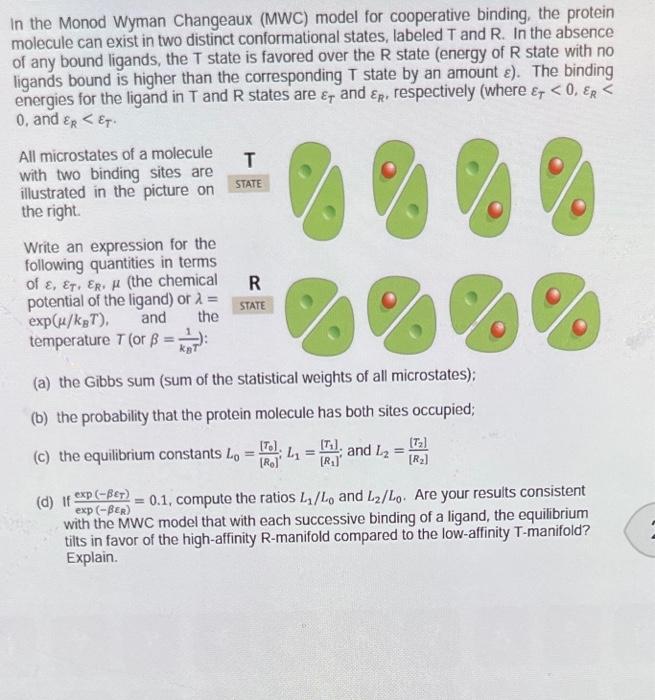 Solved In the Monod Wyman Changeaux (MWC) model for | Chegg.com