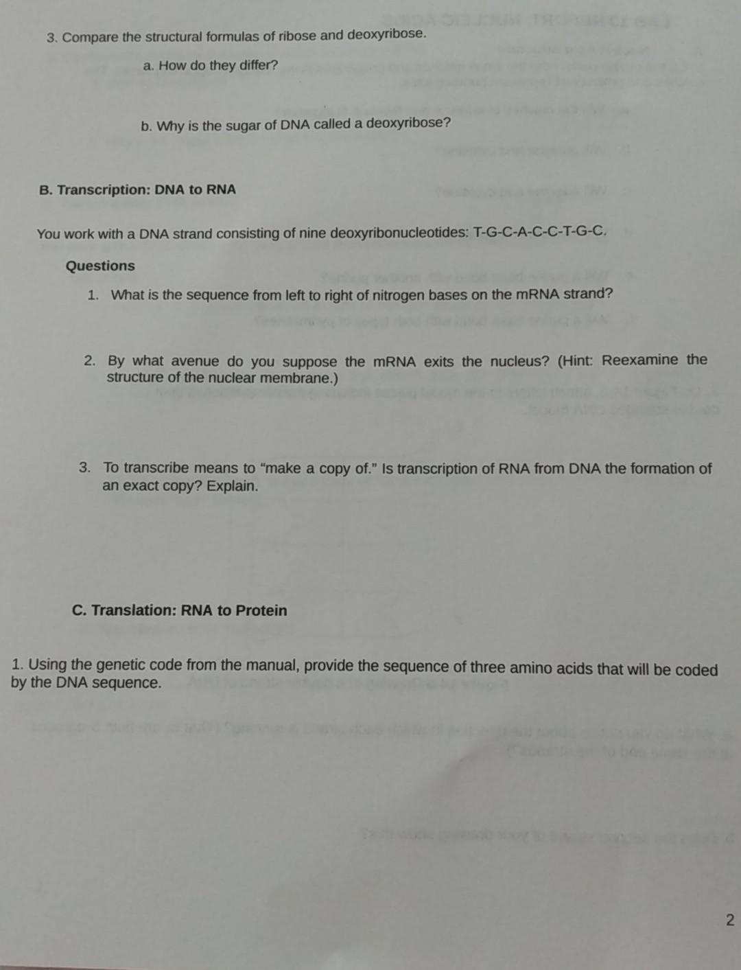 Solved LAB 13 REPORT: NUCLEIC ACIDS A. Nucleic Acid | Chegg.com Solved LAB 13 REPORT: NUCLEIC ACIDS A. Nucleic Acid | Chegg.com
