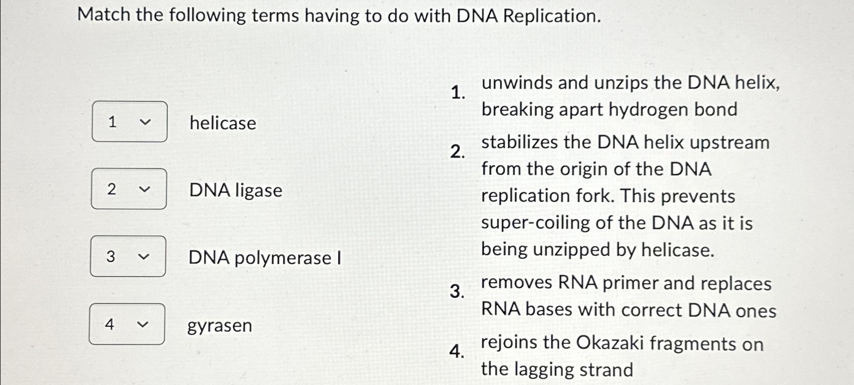 Solved Match the following terms having to do with DNA | Chegg.com