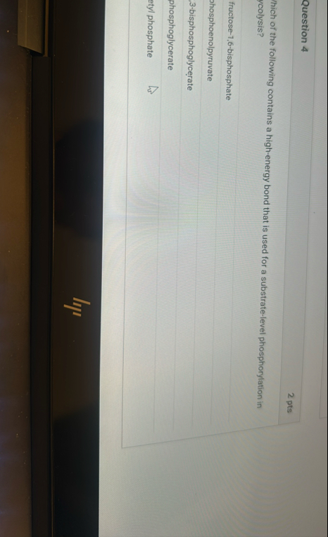 Solved Question 42 ﻿ptshich of the following contains a | Chegg.com